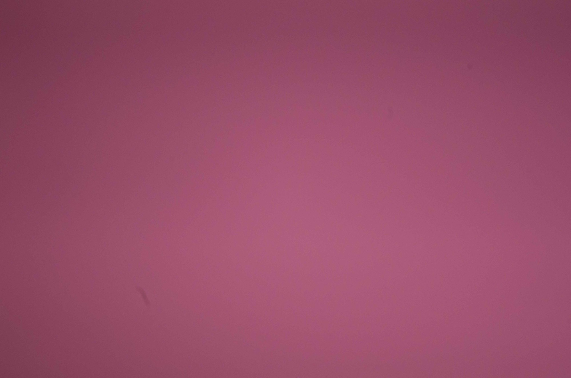 Astro Pixel Processor Aries Productions - latest release APP 2.0.0 ...